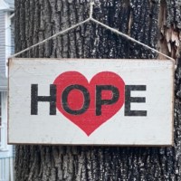 Pained Paradox – Poems of Pandemic Days by Alice Curley